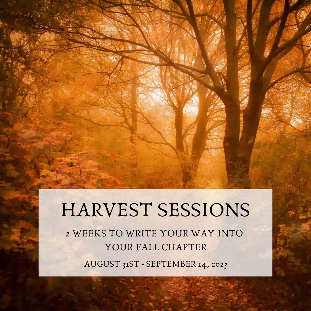 Harvest Sessions: 2 Weeks to Open Your Fall Chapter